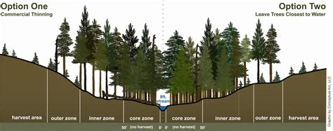 Buffer Zones Washington Forest Protection Association