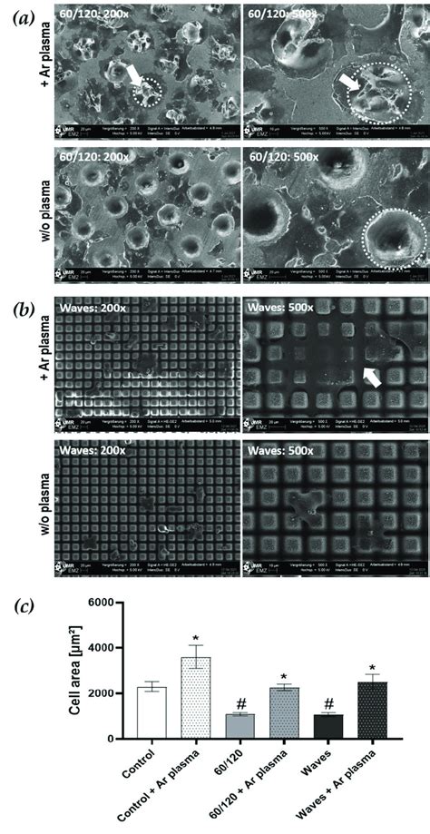 Topography And Chemistry Combinatory Influence Of Laser Microstructures