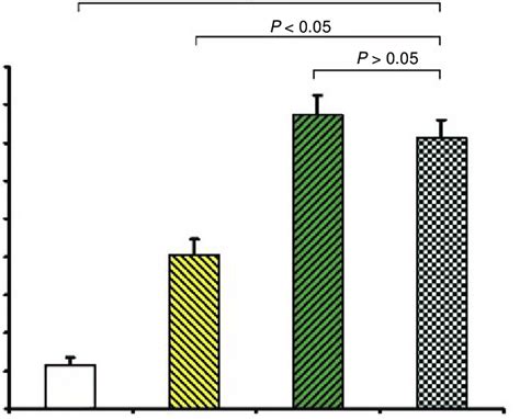 The Bmp27 Heterodimers At A Concentration Of 10 Ngml Are More Potent