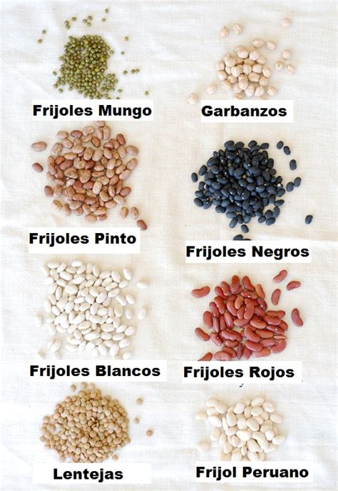 Guía Básica Sobre Frijoles Y Cómo Incluirlos En Una Hamburguesa