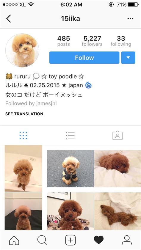 Shelly On Twitter My Dude