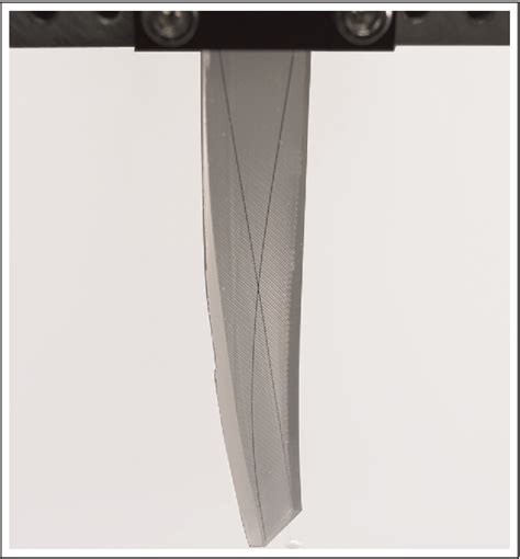 Figure 1 From A Shape Memory Alloybased Soft Morphing Actuator Capable