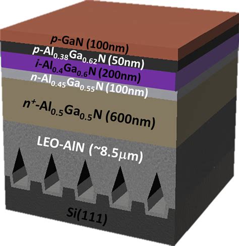 Illustration Of Full Detector Structure Download Scientific Diagram