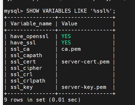 Mysql远程使用navicat可以登录但是无法使用在idea的代码中访问问题解决mysql 可以使用工具连接 但是通过代码连不上 Csdn博客