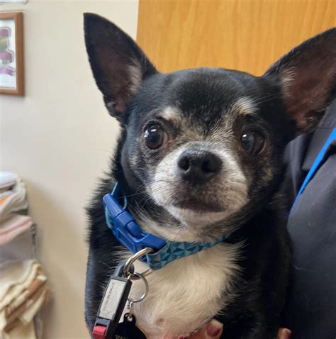 Financial Support Csnip