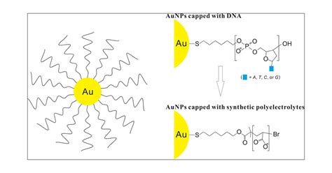 Interfacial Self Assembly Of Polyelectrolyte Capped Gold Nanoparticles Langmuir