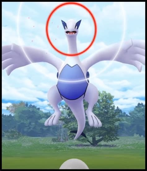 포켓몬고 루기아 약점 및 졸업스킬 공략 이로치 네이버 블로그