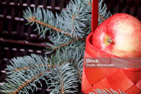 블루 스프루 스와 익은 향기로운 사과 바구니의 지점 에 대 한 고리 버들 세공 덩굴의 배경 가문비나무에 대한 스톡 사진 및 기타 이미지 Istock