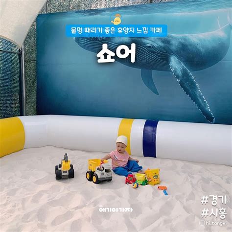 애기야가자 [놀이장소추천 육아꿀팁 육아정보] 🌈 ───────────────── 아이와 어디가지⁉뭐하지 애기야가자app📱에는 전국 2만여 곳의 아이와 갈만한 곳이