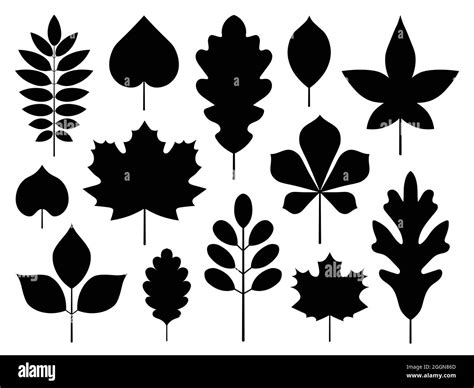 Fall Leaf Silhouette