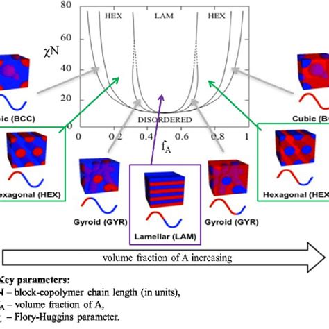 Ca Cell And Kuhn Segment Dimensions Download Scientific Diagram