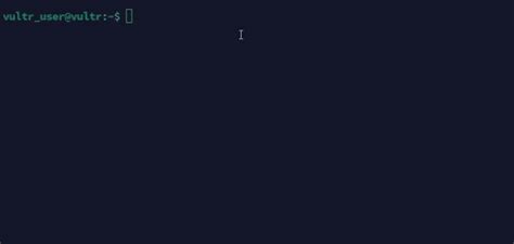 How To Use The Ls Command In Linux Vultr Docs