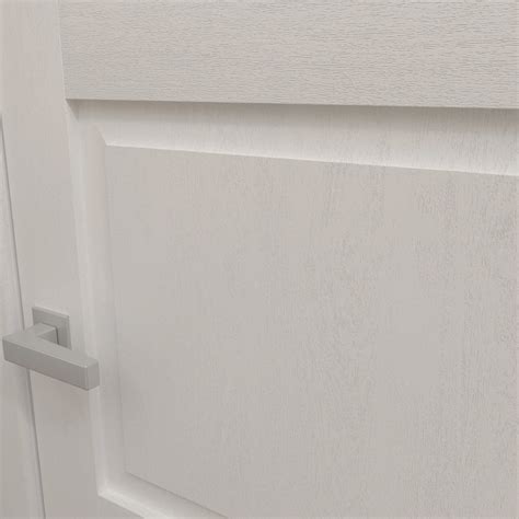 Slab Door Panel X Inches Ego Painted White Oak Wood