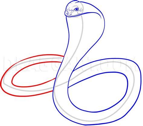 How To Draw A King Cobra Step By Step Drawing Guide By Dawn Snake Tattoo Design Snake