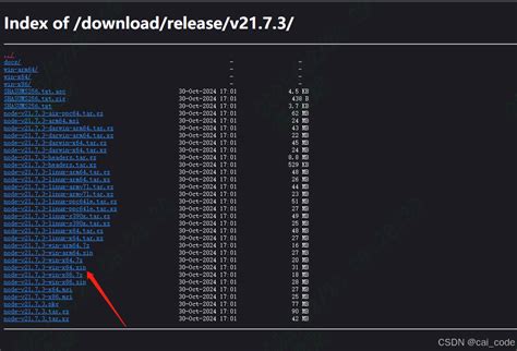 node js 升级保姆级教程（已亲测） npm 升级nodejs csdn博客