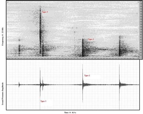 Detailed Spectrogram And Time Display Of Drumming Sound Recording 1