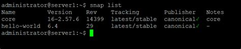 how to list installed packages on ubuntu 22 04 vitux