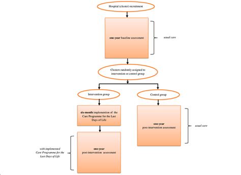 Flowchart Of The Cluster Randomized Controlled Trial Download
