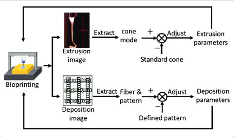 Image Based In Situ Process Monitoring Download Scientific Diagram