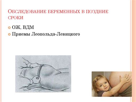 Методы обследования беременных и рожениц Акушерская терминология Диагностика беременности
