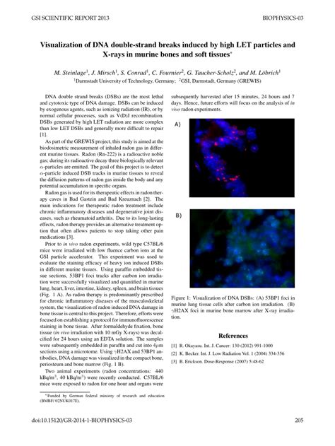 Pdf Visualization Of Dna Double Strand Breaks Induced By High Let