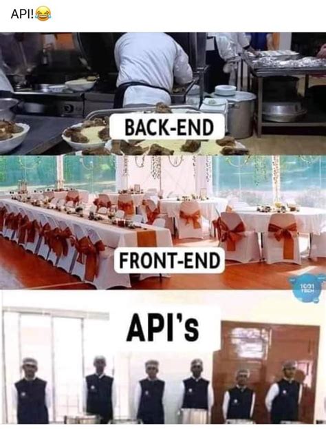 I Am Programmeri Have No Life