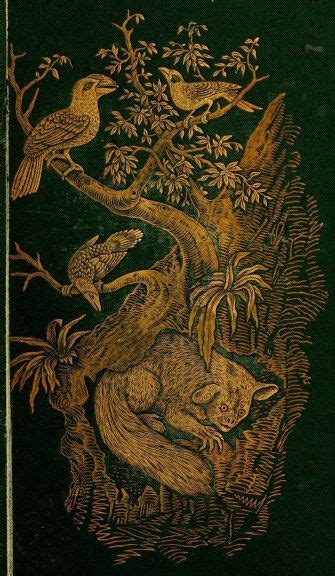 Posts About Art Science On Among The Stately Trees Book Cover Art Science Art Typography