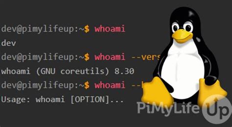 What Is The Whoami Command On Linux Pi My Life Up