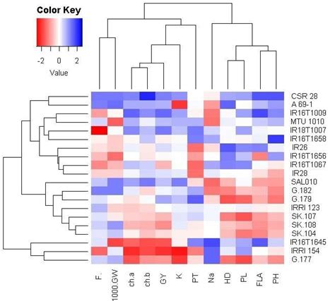 Biplot Of Pca For The Evaluated Rice Genotypes To Explore The