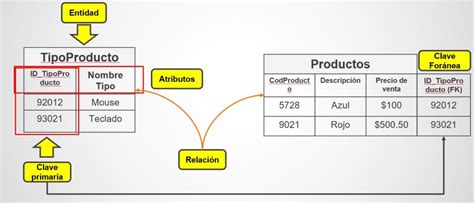 Atributos En Bases De Datos Columnas Mysql Ya