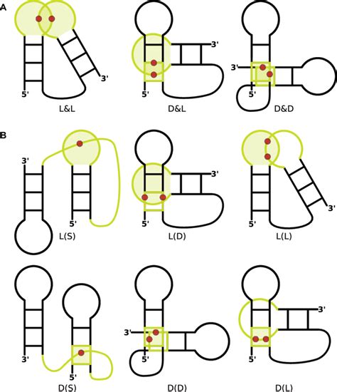 Classification Of Entanglements Of Structure Elements Shown On The