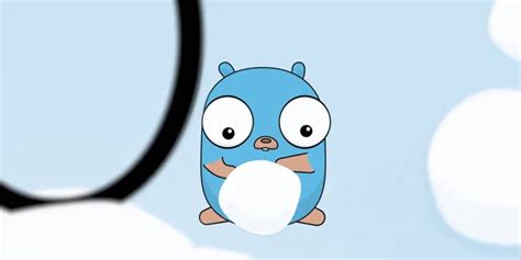 Jetbrains On Linkedin Golang