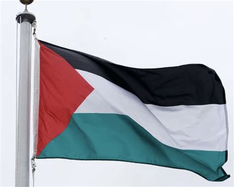 نشطاء ومتضامنون اجانب يطلون صيف ٤ ببروكسل بالوان علم فلسطين Pnn