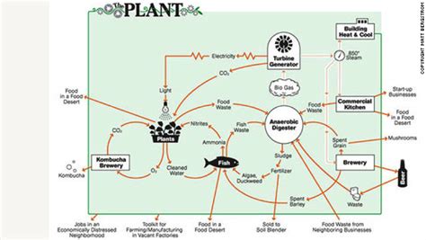 The Plant Urban Farming Future Health Systems