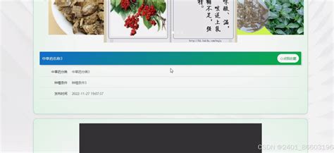 基于django vue基于web的中草药信息管理系统【开题报告 程序 论文】计算机毕设 中药管理分类django csdn博客