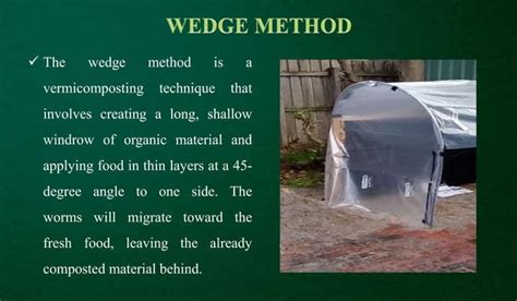 Vermicomposting Types Methods Advantages And Disadvantages Pdf