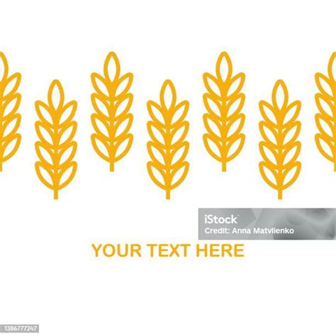 밀 귀 아이콘 벡터 농장 로고 템플릿 유기농 에코 베이커리 사업 농업 화이트 맥주라인 통곡물 심볼 일러스트레이션 가을에 대한 스톡 벡터 아트 및 기타 이미지 Istock