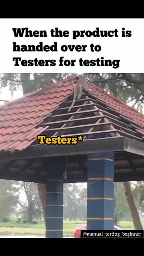 Manualtesting Do Follow And Subscribe Daily Job Updates For You