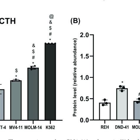 The Different Types Of Human Leukemia Cell Lines Created With