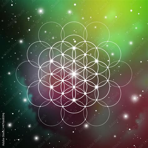 Sacred Geometry Tree Of Life Ancient Symbol Vector Illustration With Golden Ratio Numbers