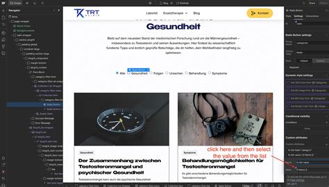 Cms Filter All Works But Filter Radio Buttons Make Posts Disappear