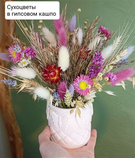 Сухоцветы Лагурус, Статица, 20 см, 50 гр, 1 шт купить по выгодной цене ...