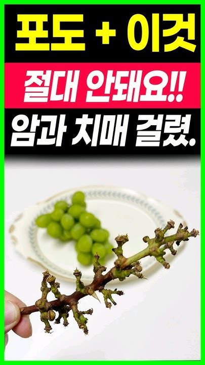 포도송이가지의 놀라운 효능 포도와 절대 함께 먹으면 안되는 음식 포도송이가지차 포도씨 포도껍질 당뇨 혈관 심혈관질환 레스베라트롤