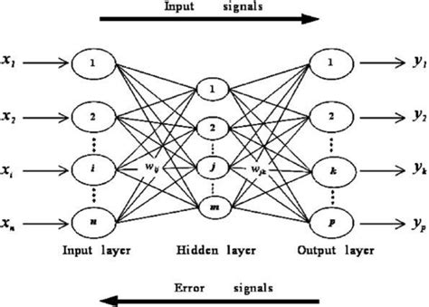 A Three Layers Neural Network 12 Download Scientific Diagram