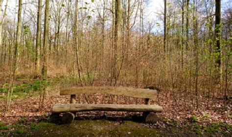 მთავარი გვერდი Ambebi Ge