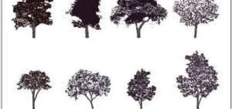 Trees In Elevation Free Dwg Cad Block Max Cad