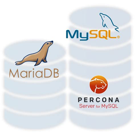 mysql mariadb e percona server