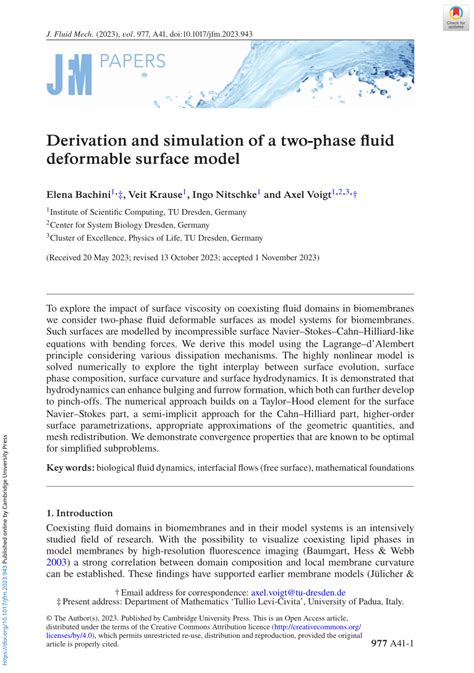 pdf derivation and simulation of a two phase fluid deformable surface