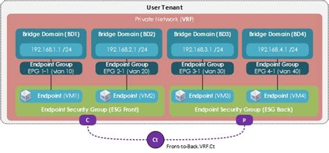 What Are The Endpoint Security Groups Esgs Of Aci Networklife