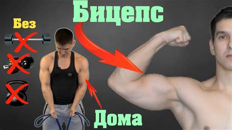 Лучшее упражнение на БИЦЕПС дома Youtube